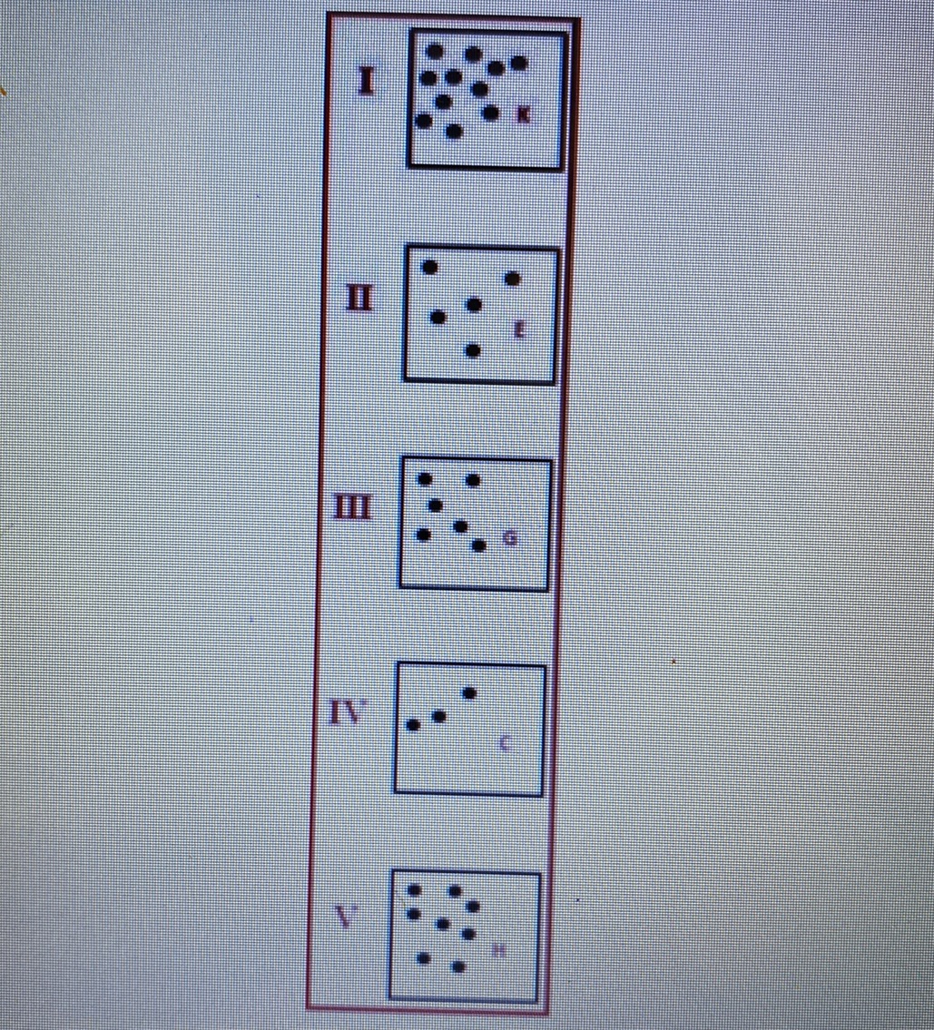 I. A box with 10 dots and a letter K. II. | StudyX