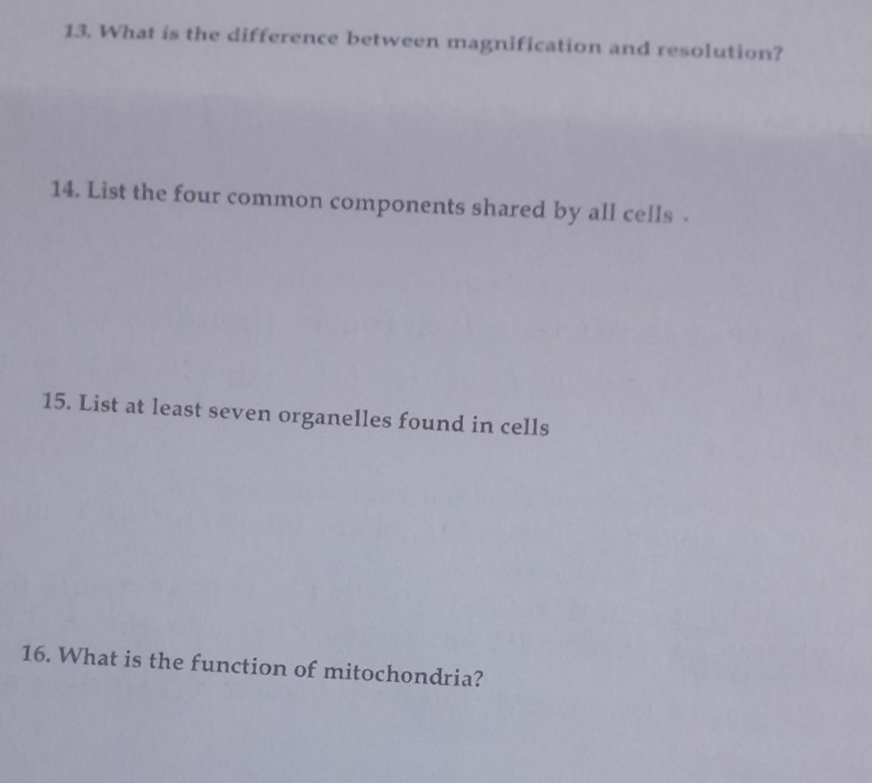 13. What is the difference between | StudyX