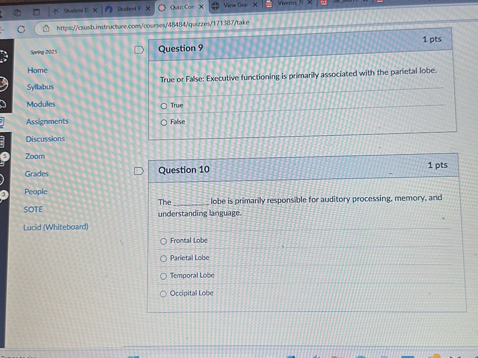 Question 9 True or False: Executive | StudyX