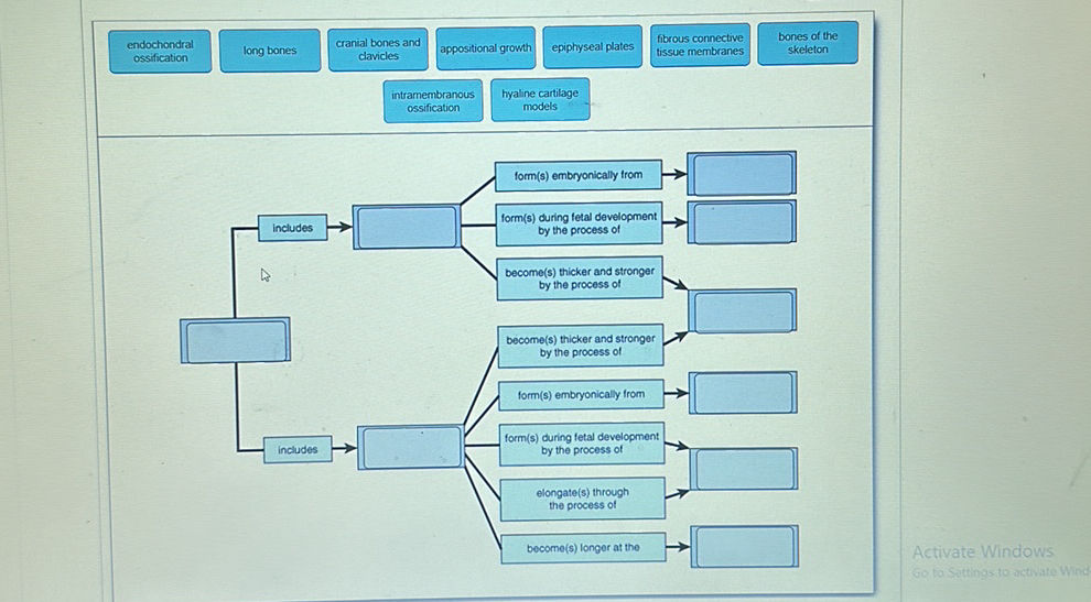 The image presents a concept map about bone | StudyX