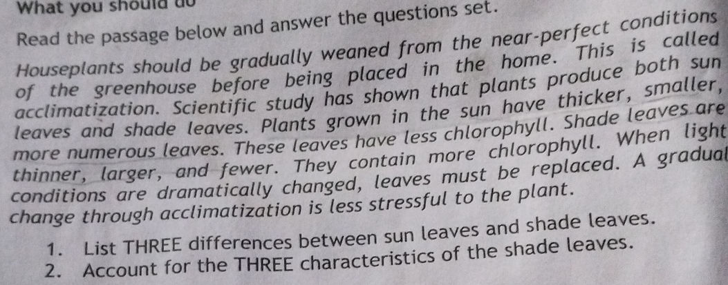 1. List THREE differences between sun leaves | StudyX