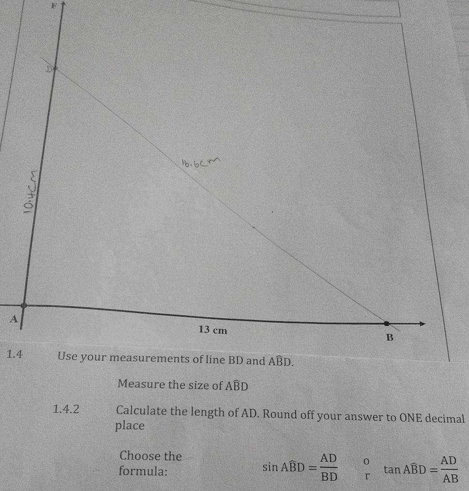 Use your measurements of line BD and \( | StudyX