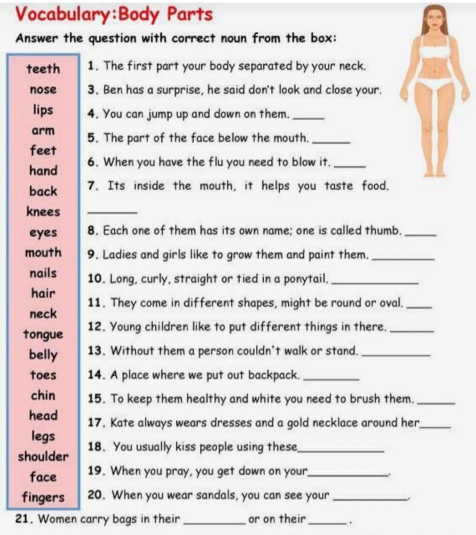 Vocabulary: Body Parts Answer the question | StudyX
