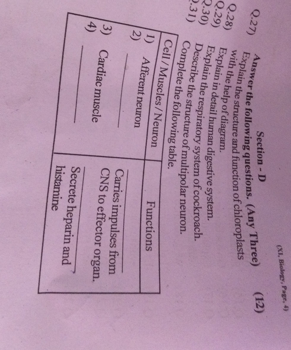 Complete the following table. | Cell / | StudyX