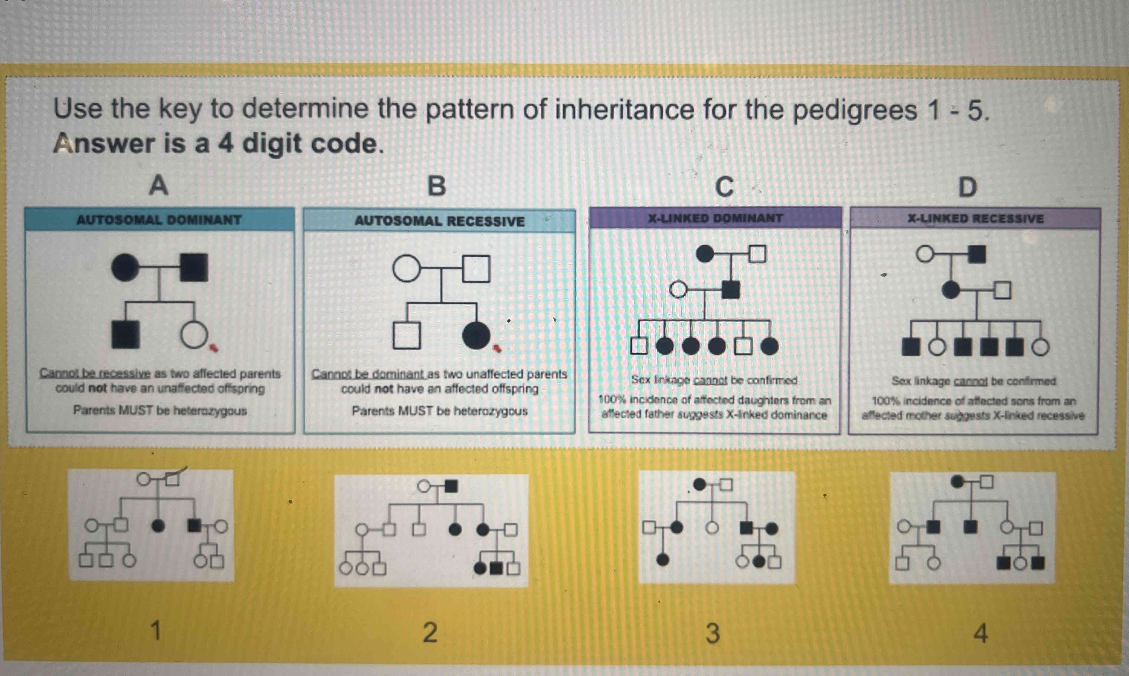 Use the key to determine the pattern of | StudyX