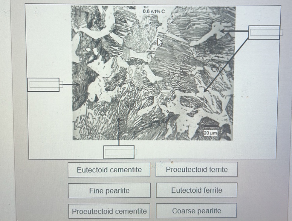 Match the labels to the corresponding | StudyX