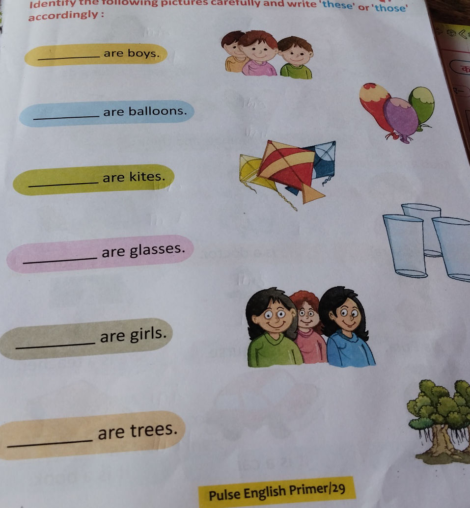 Identify the following pictures carefully | StudyX