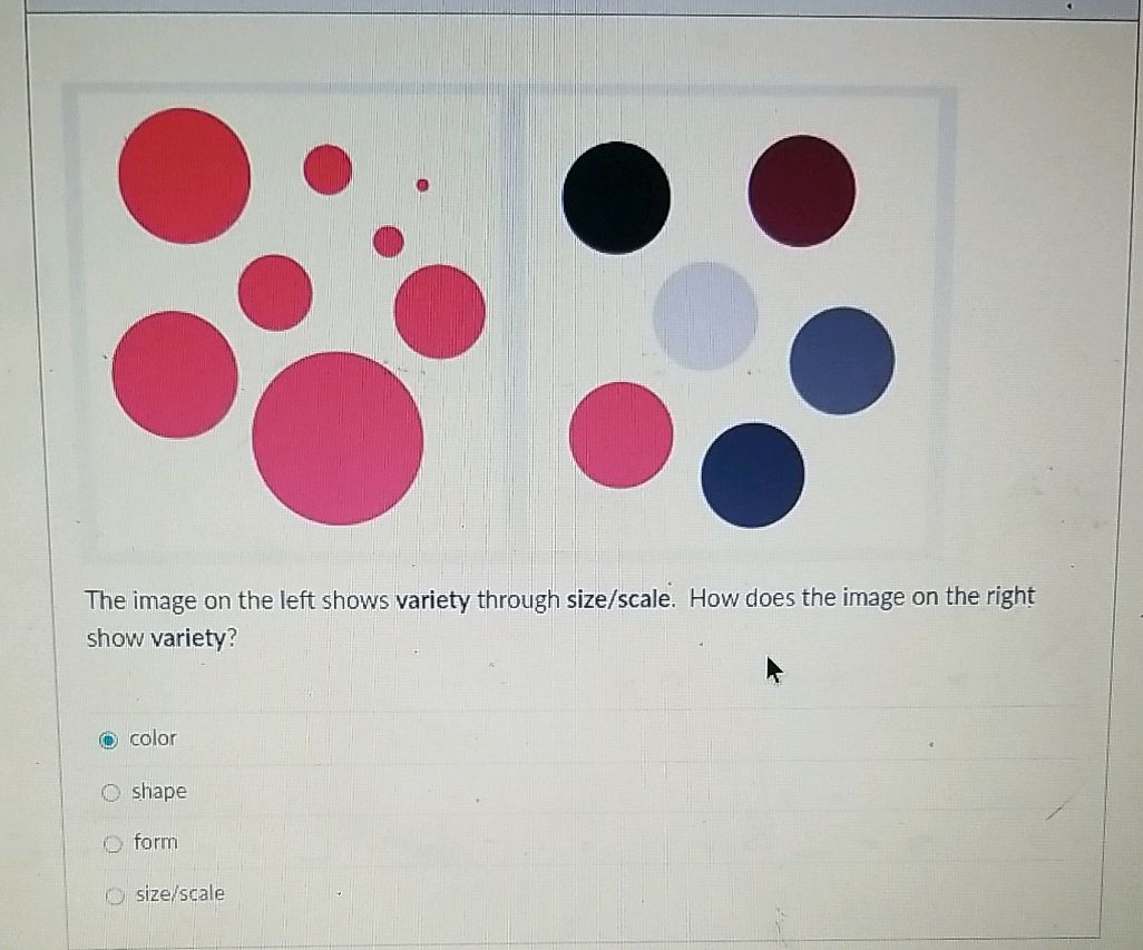 The image on the left shows variety through | StudyX