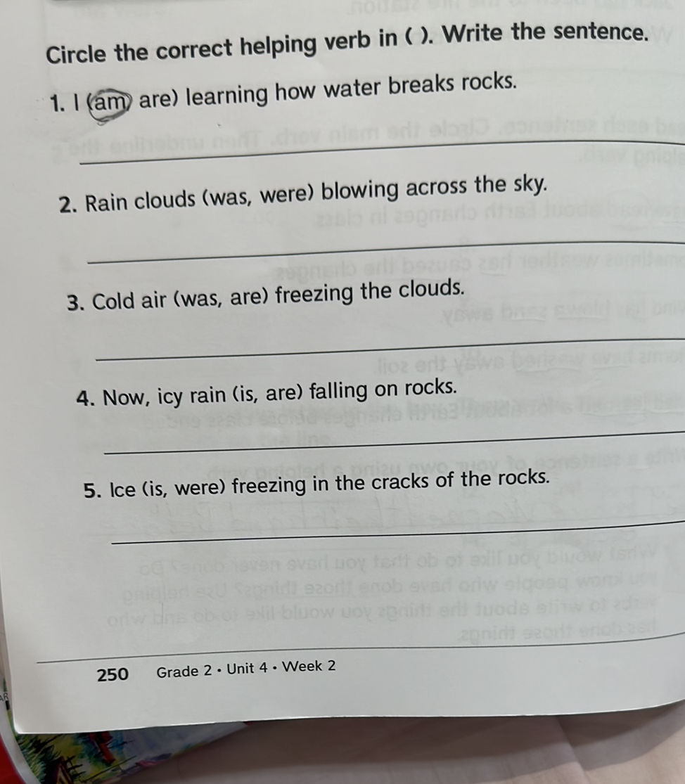 Circle the correct helping verb in (). Write | StudyX