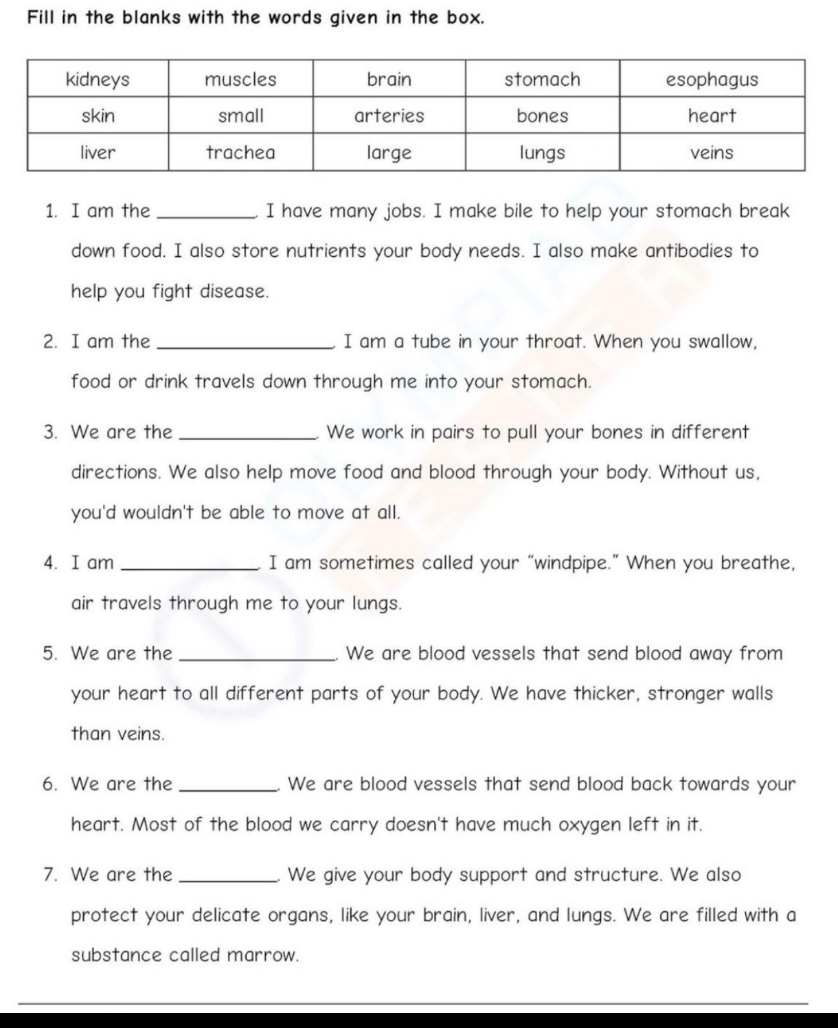 Fill in the blanks with the words given in | StudyX