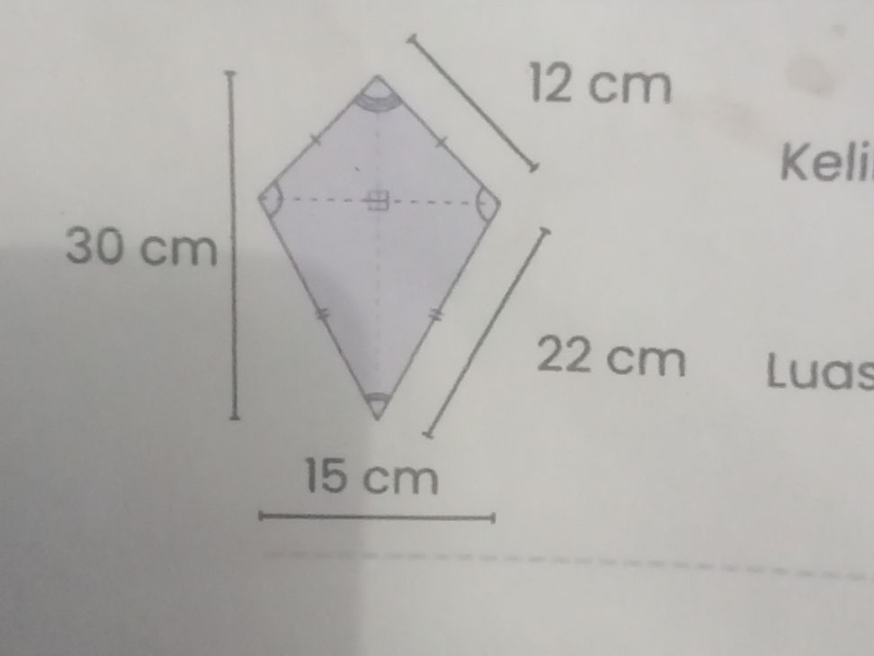The image shows a kite with the following | StudyX