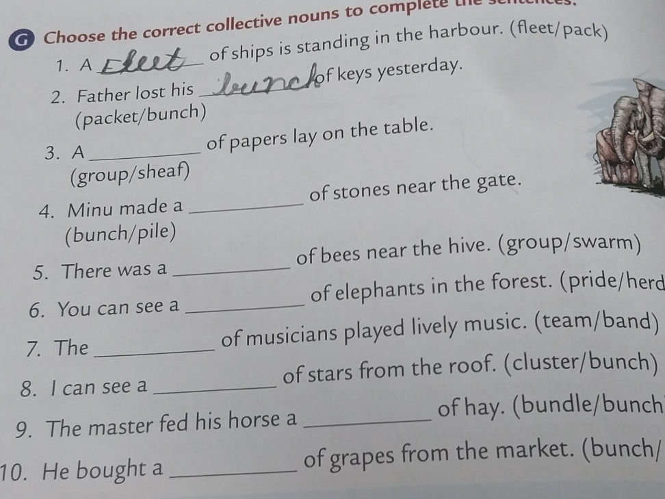 Choose the correct collective nouns to | StudyX