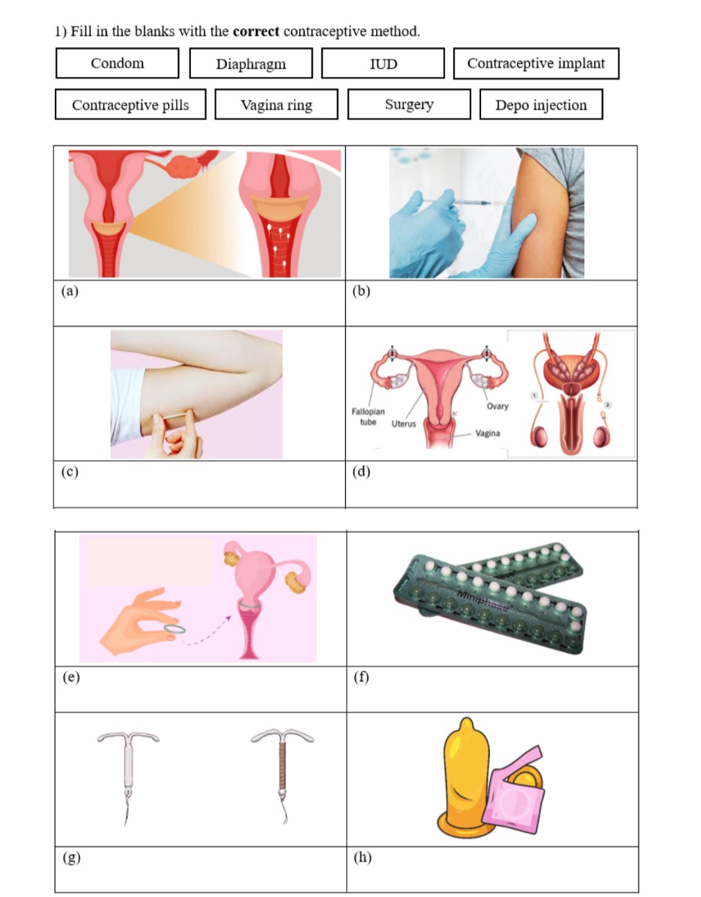 1) Fill in the blanks with the correct | StudyX