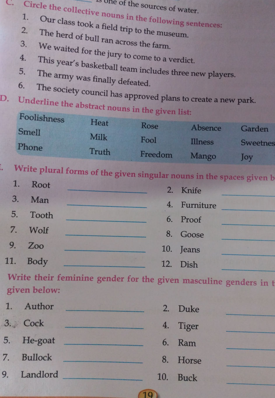 C. Circle the collective nouns in the | StudyX