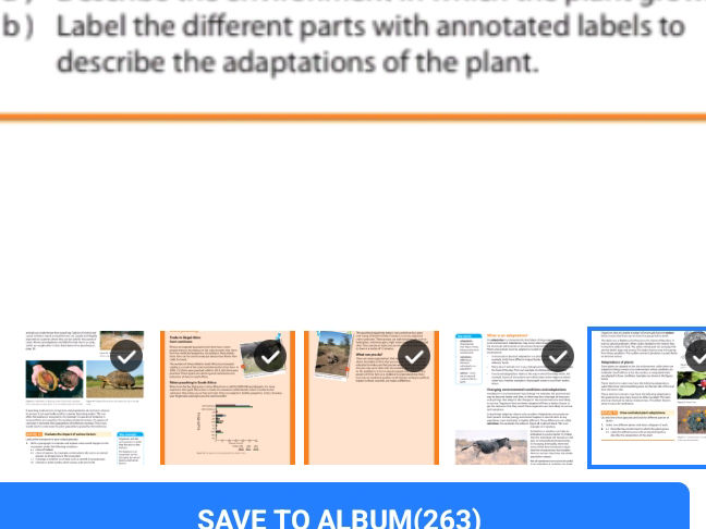 b) Label the different parts with annotated | StudyX