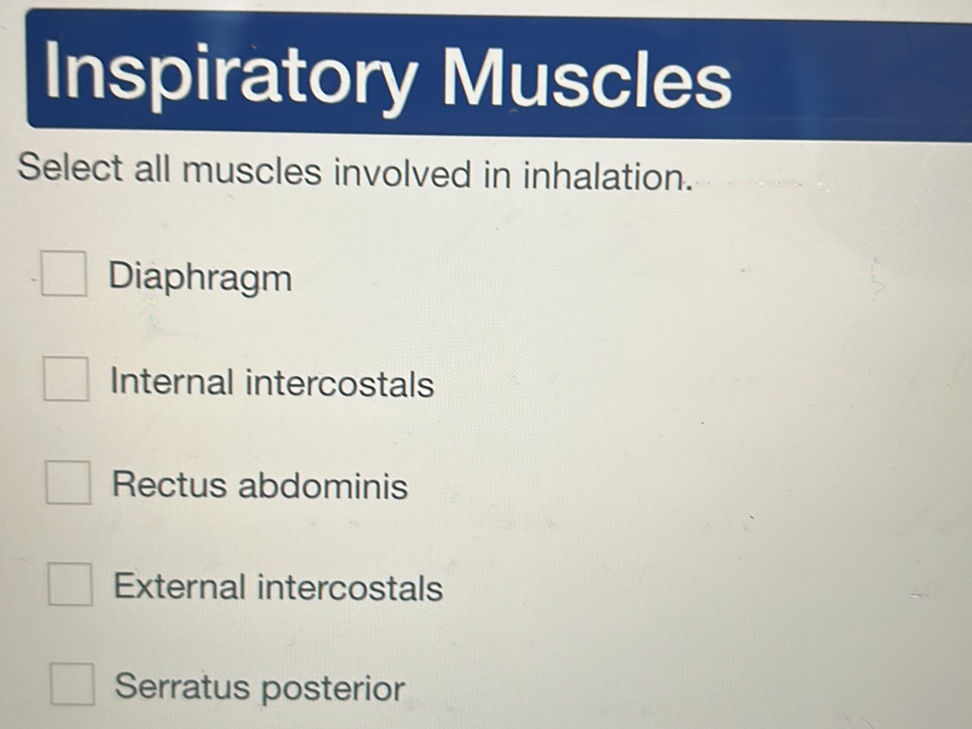 Select all muscles involved in inhalation. | StudyX
