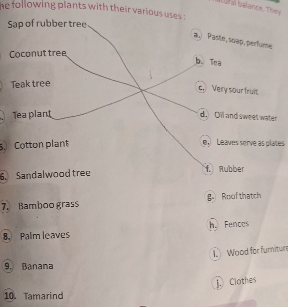 Match the following plants with their | StudyX