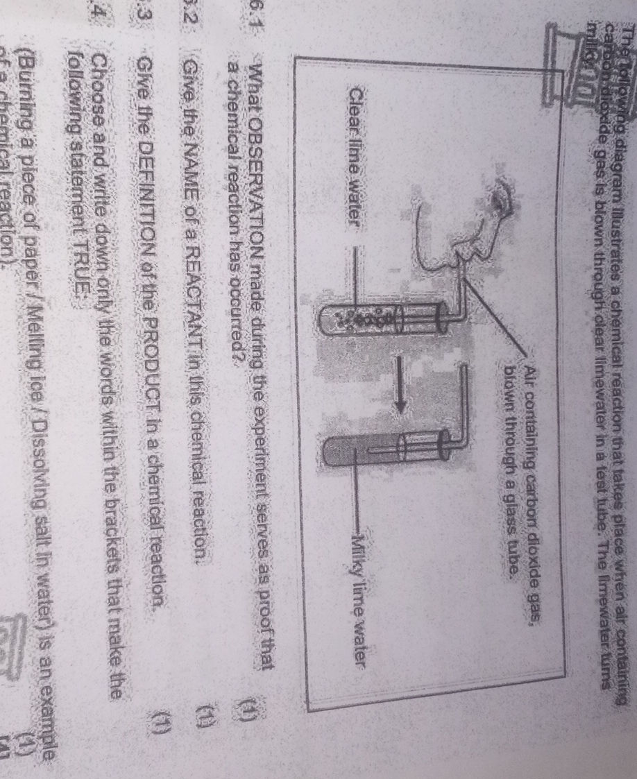 6.1 What OBSERVATION made during the | StudyX