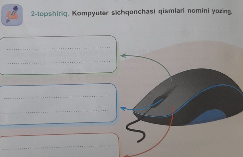 2-topshiriq. Kompyuter sichqonchasi qismlari | StudyX