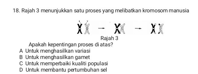 18. Rajah 3 menunjukkan satu proses yang | StudyX
