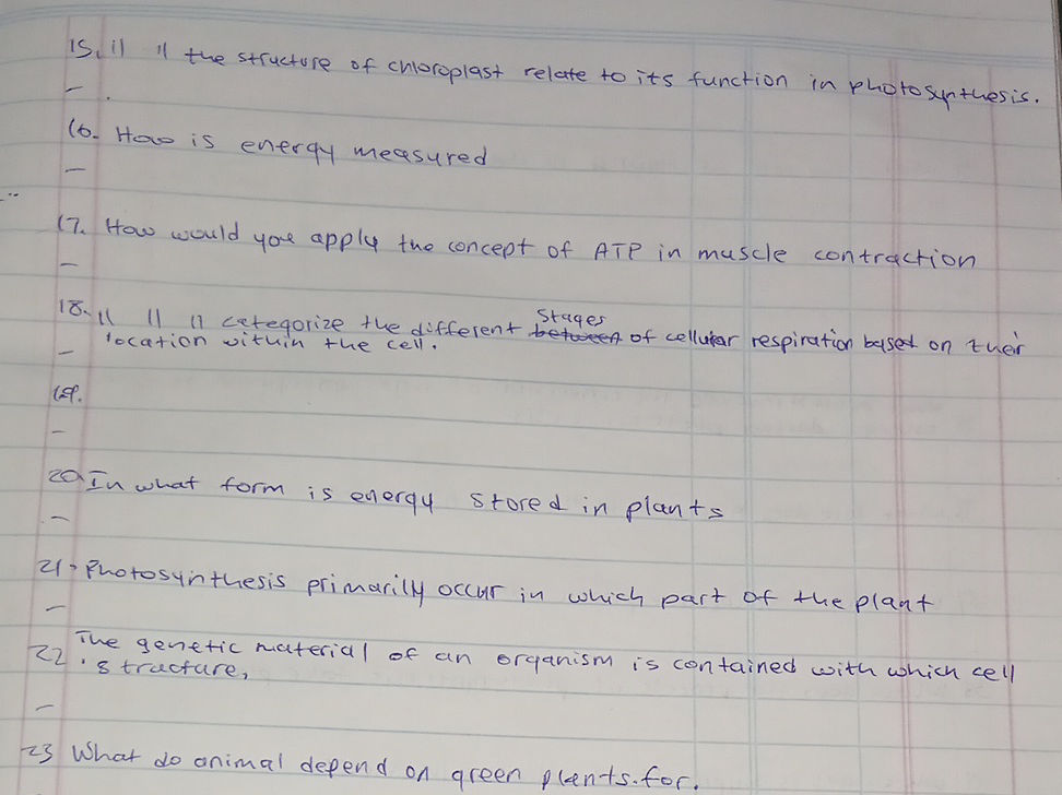 15. Explain how the structure of | StudyX