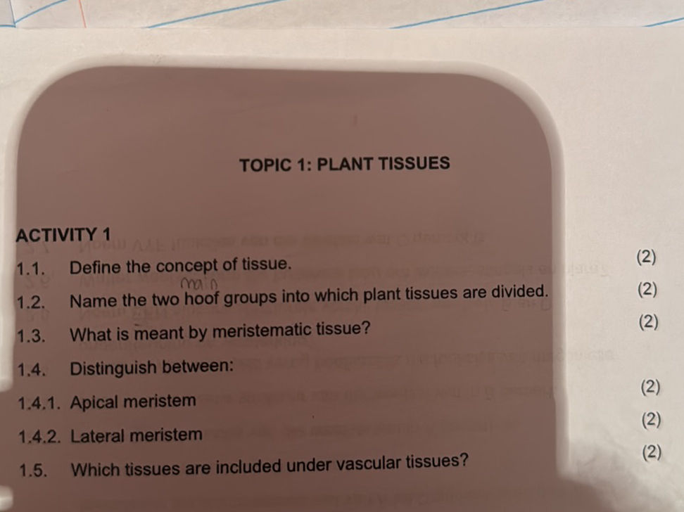 TOPIC 1: PLANT TISSUES ACTIVITY 1 1.1. | StudyX
