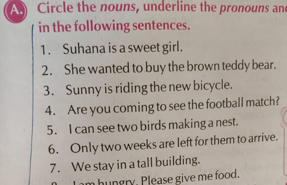 Circle the nouns, underline the pronouns and | StudyX