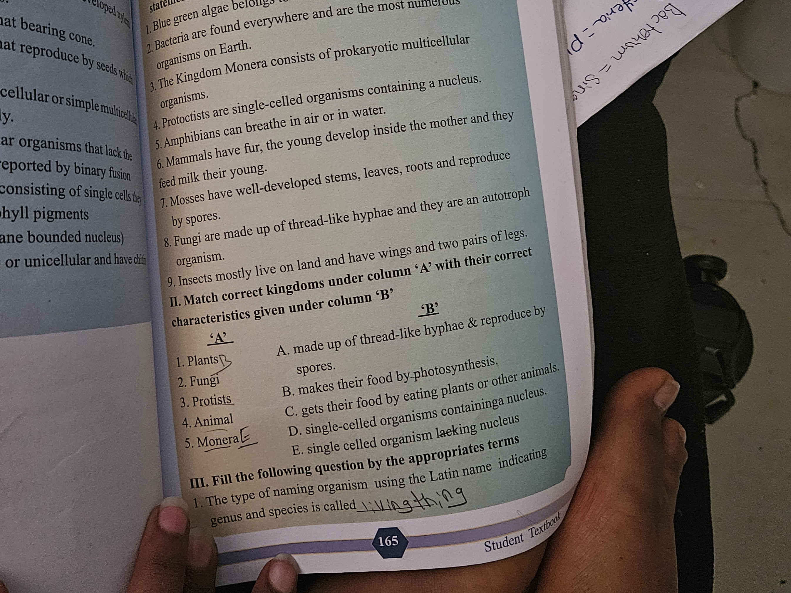 II. Match correct kingdoms under column 'A' | StudyX