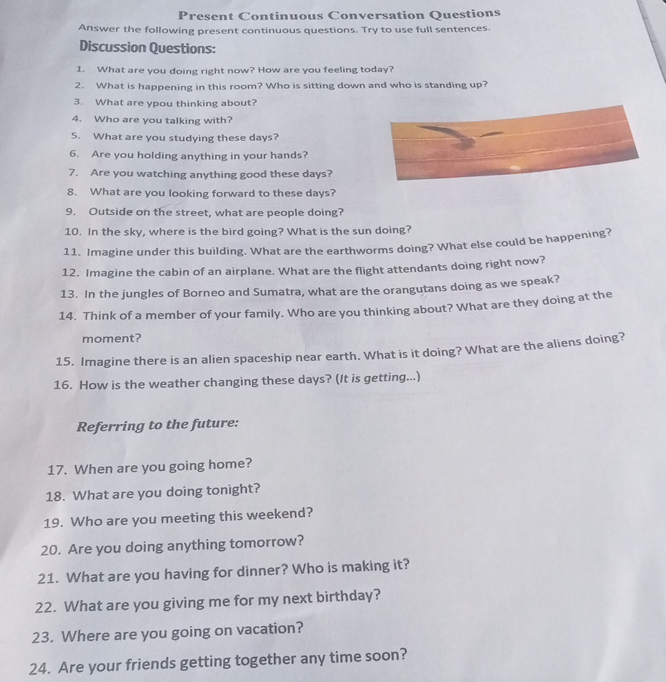 Present Continuous Conversation Questions | StudyX