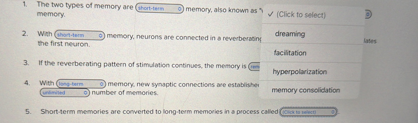 1. The two types of memory are (short-term) | StudyX