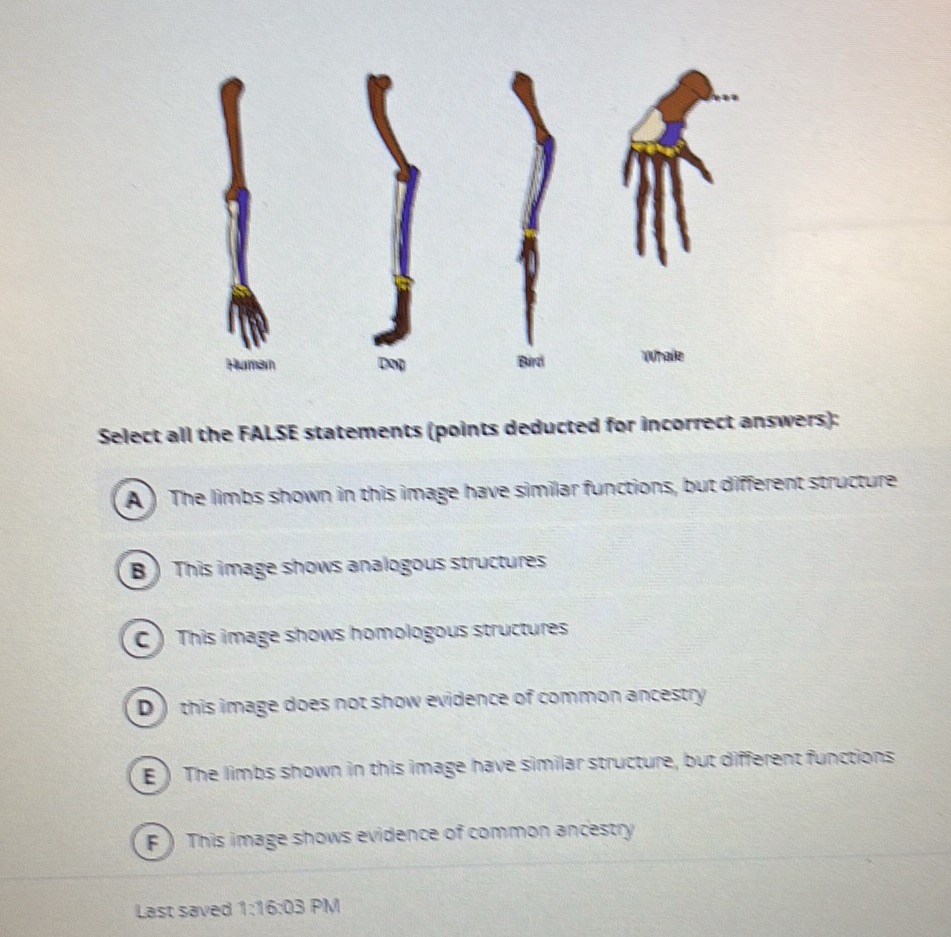 Select all the FALSE statements (points | StudyX
