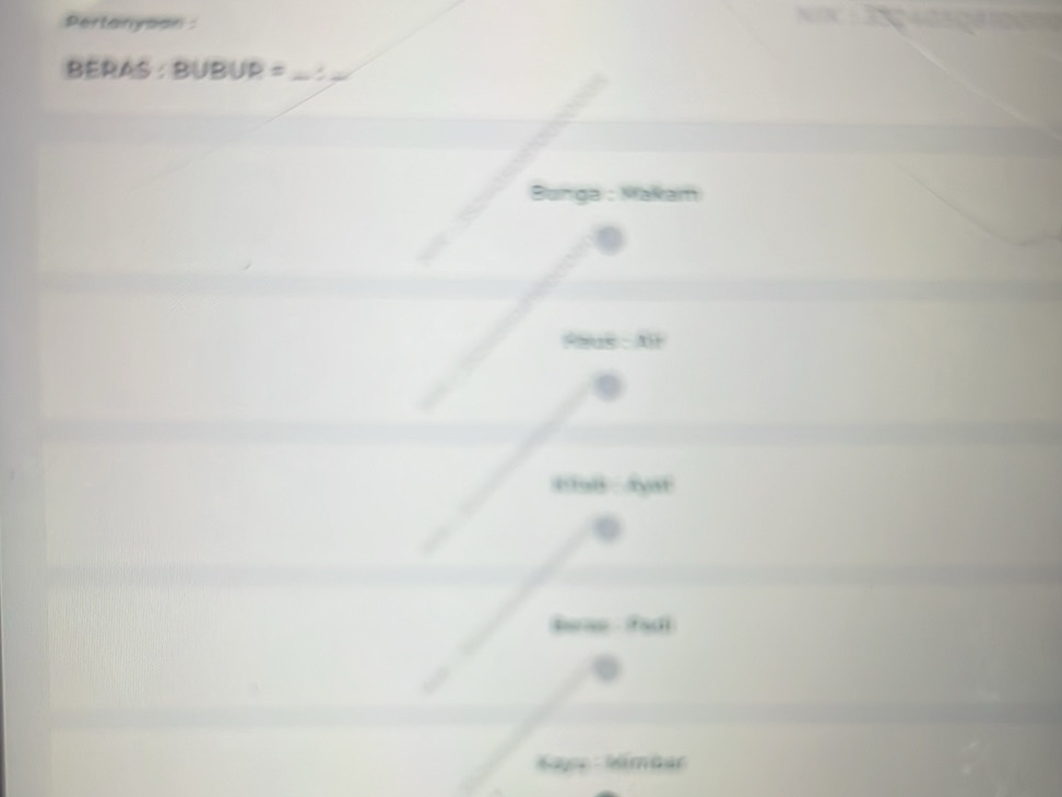 BERAS : BUBUR = ... Bunga : Makam Paus : | StudyX