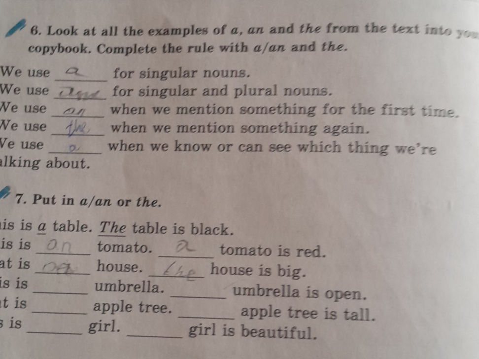 6. Look at all the examples of a, an and the | StudyX