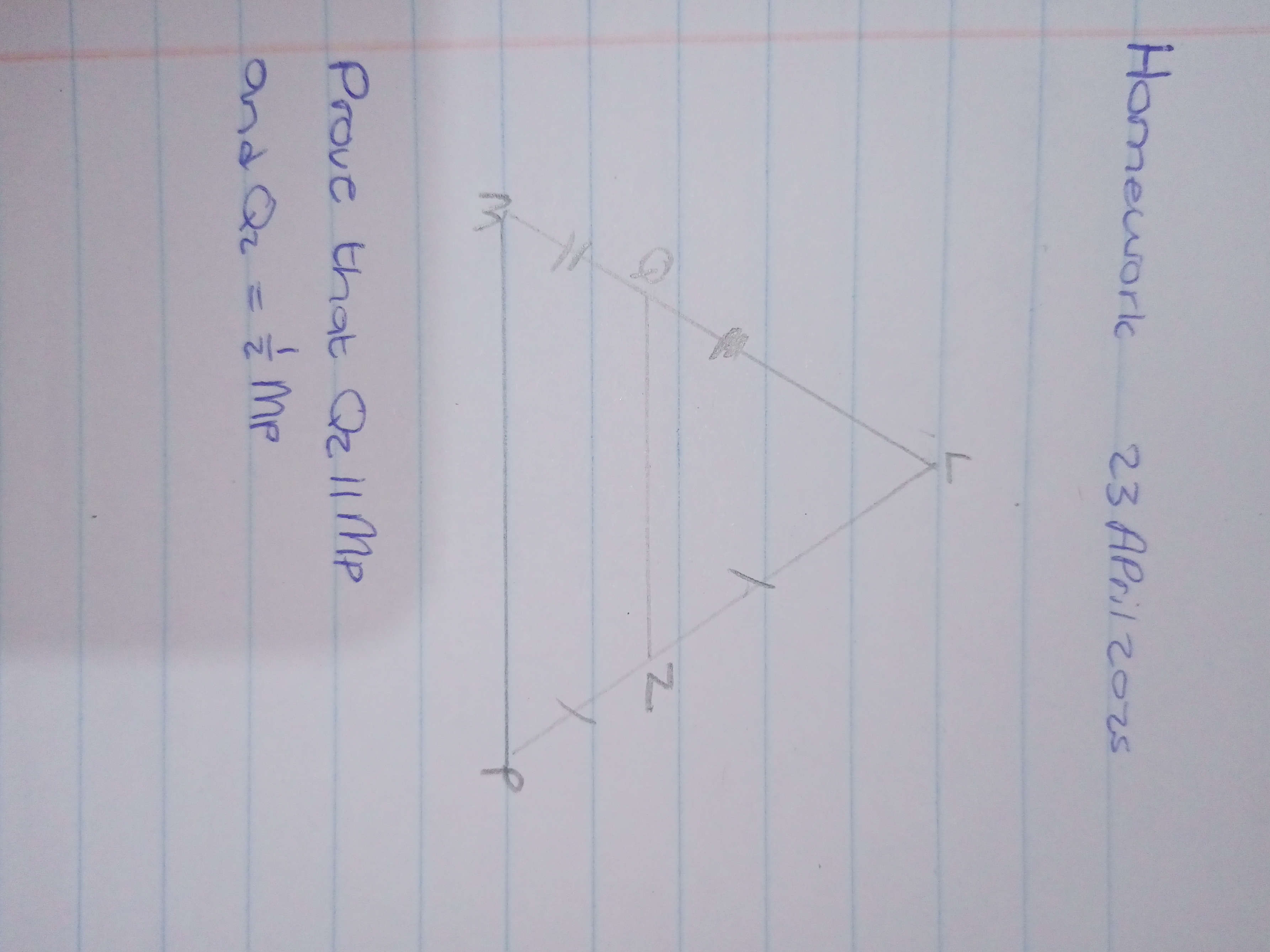 Prove Qz || Mp and Qz = 1/2 MP - Geometry | StudyX