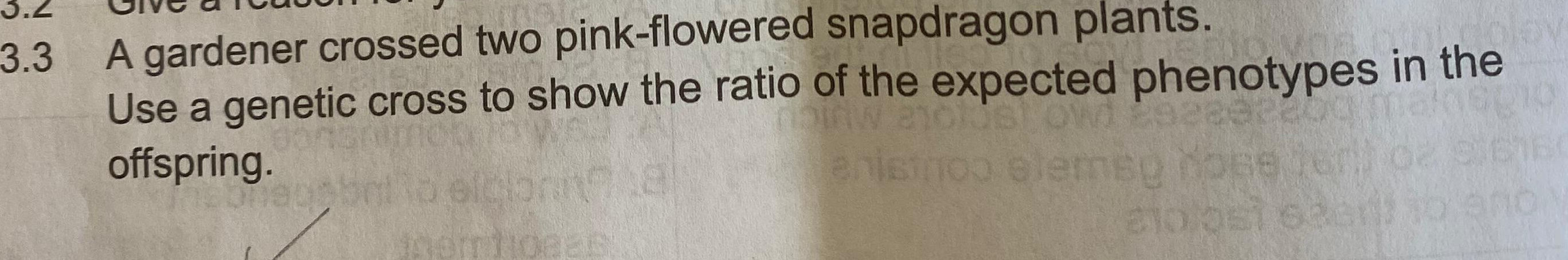 3.3 A gardener crossed two pink-flowered | StudyX
