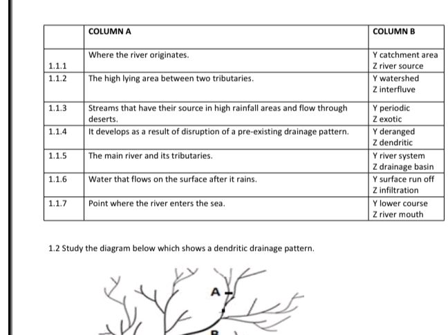```markdown | COLUMN A | StudyX