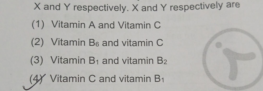 X and Y respectively. X and Y respectively | StudyX