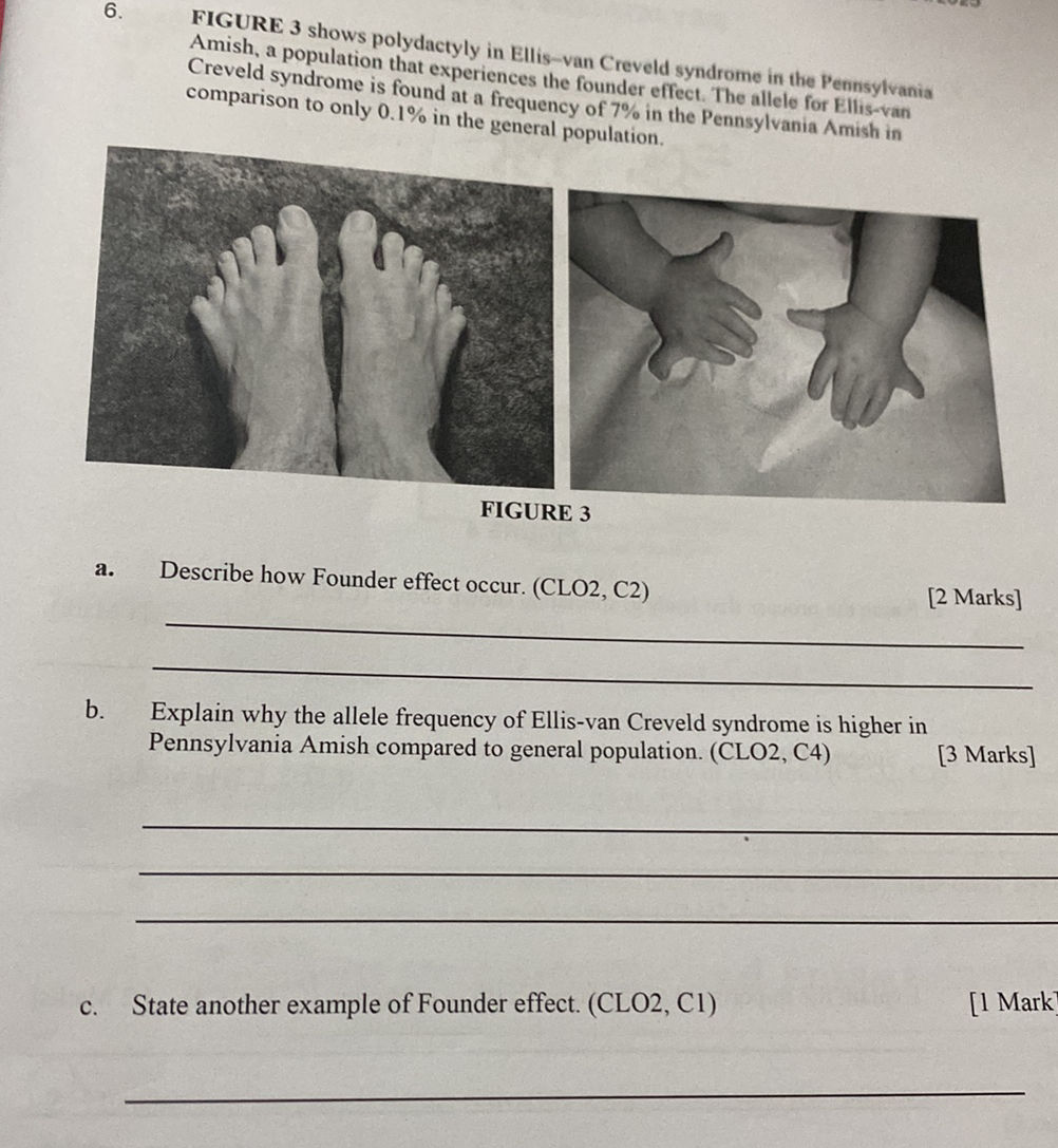 a. Describe how Founder effect occur. (CLO2, | StudyX