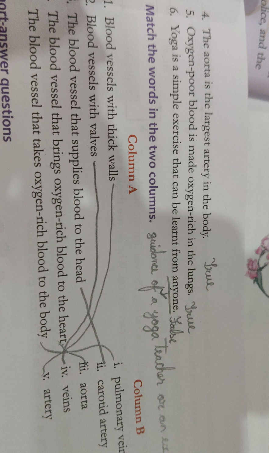 Match the words in the two columns. Column | StudyX