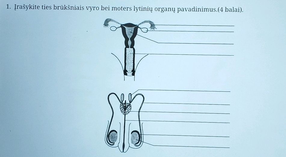 1. Įrašykite ties brūkšniais vyro bei moters | StudyX