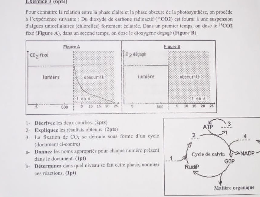 Exercice 3 (6pts) Pour connaitre la | StudyX
