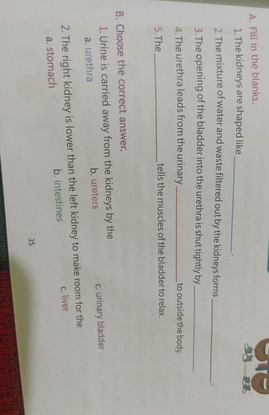 A. Fill in the blanks. 1. The kidneys are | StudyX