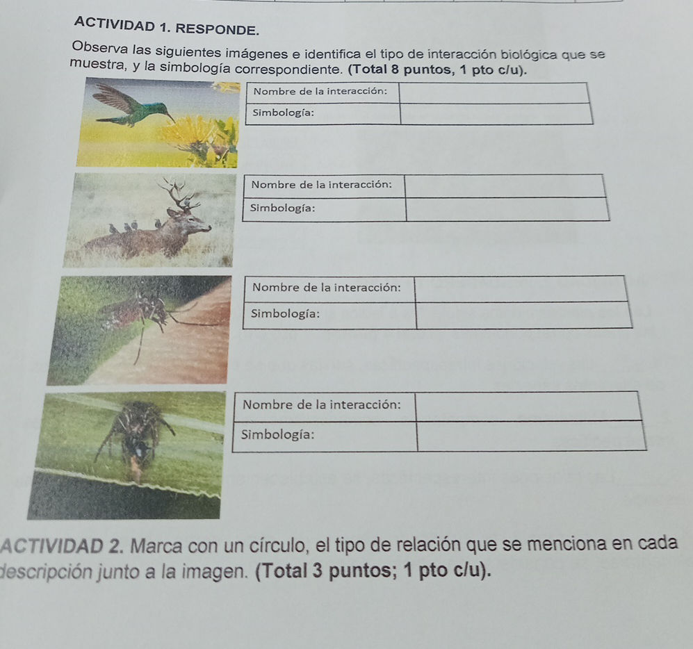 ACTIVIDAD 1. RESPONDE. Observa las | StudyX