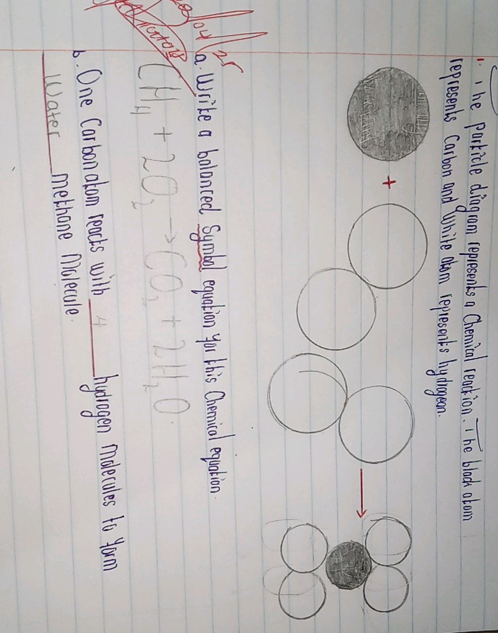 1. The particle diagram represents a | StudyX
