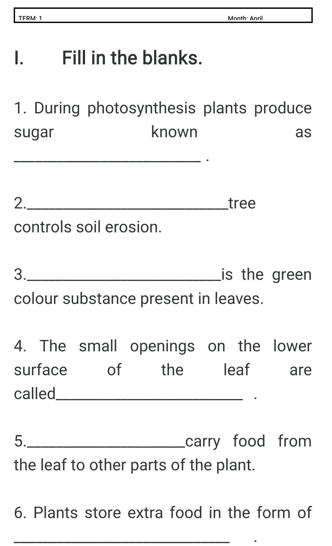I. Fill in the blanks. 1. During | StudyX