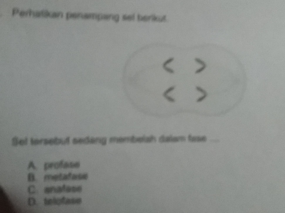 Perhatikan penampang sel berikut. Sel | StudyX
