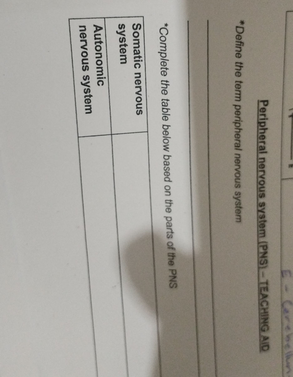 *Define the term peripheral nervous system | StudyX