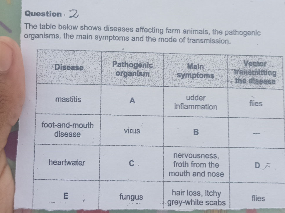 Question 2 The table below shows diseases | StudyX