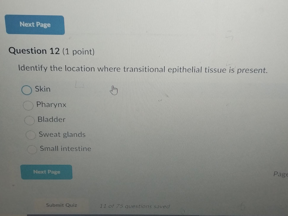Identify the location where transitional | StudyX