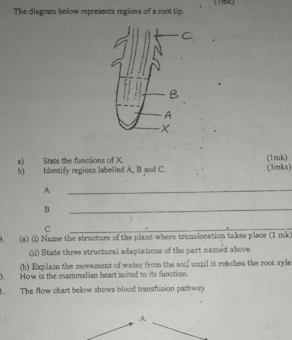 The diagram below represents regions of a | StudyX